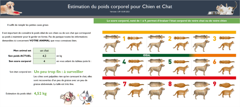 Calculateur de poids idéal pour chat et chien (tuto) - Une gamelle au top